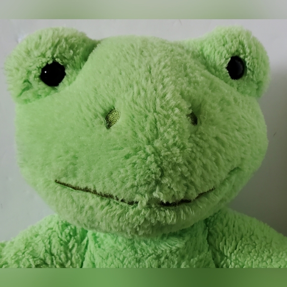Build-A-Bear | Toys | Buildabear Bab 222 Hoppy Spring Green Frog ...